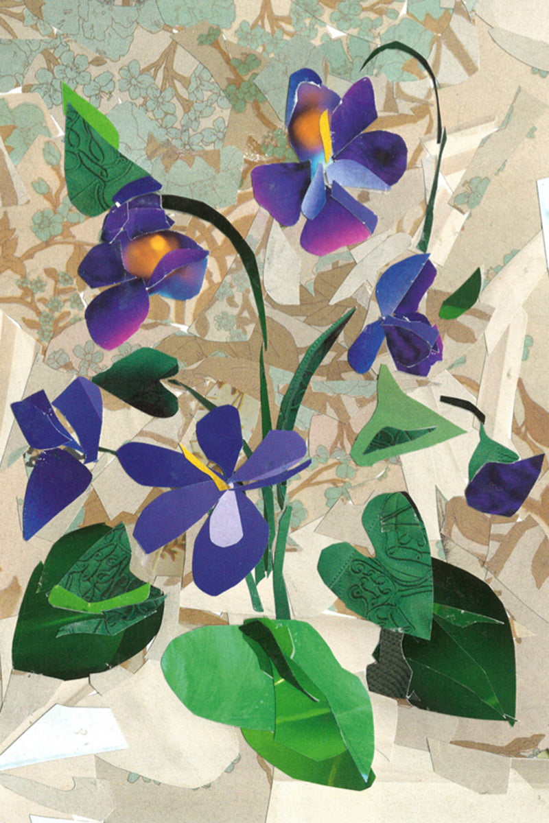 Violets – Kaycee Anseth Legacy Foundation